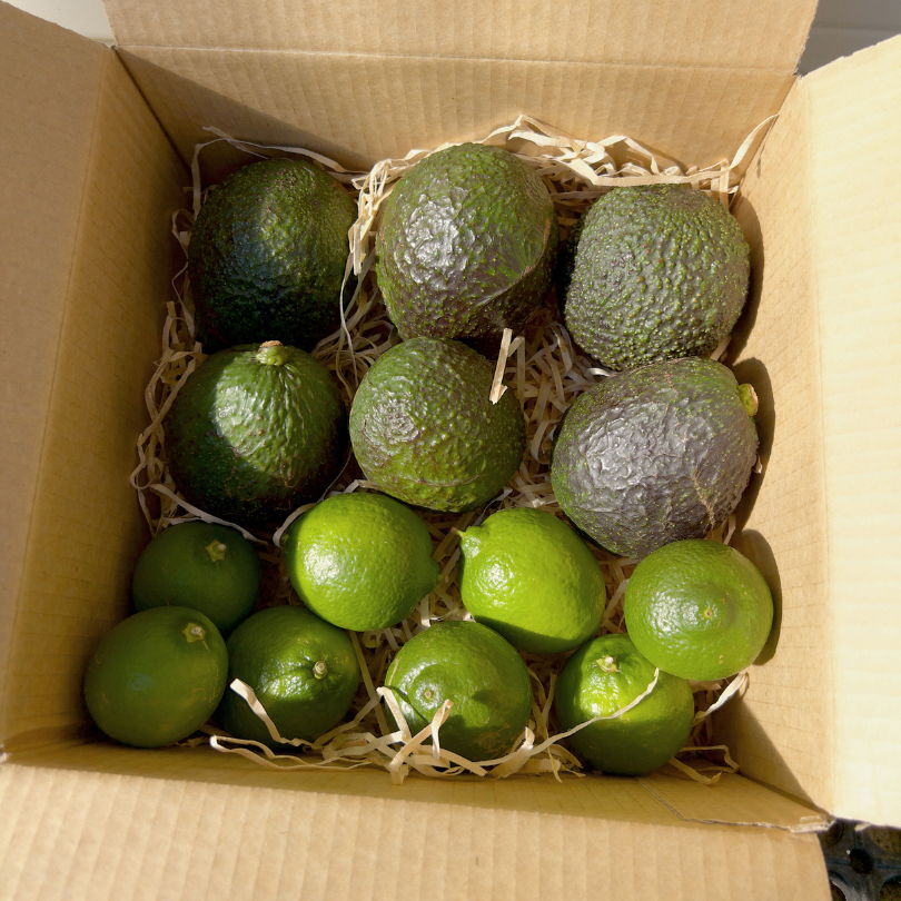 Guac Box - Avo & Lime Mixed Box – Totara Road