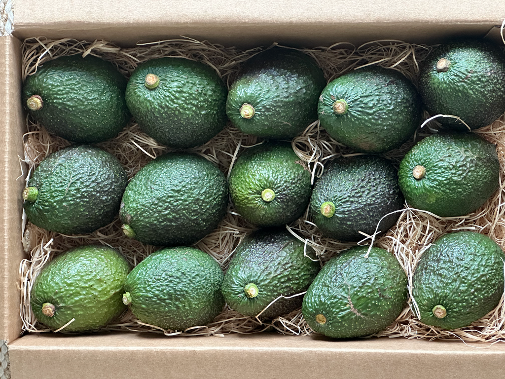 Avocado Box – Totara Road