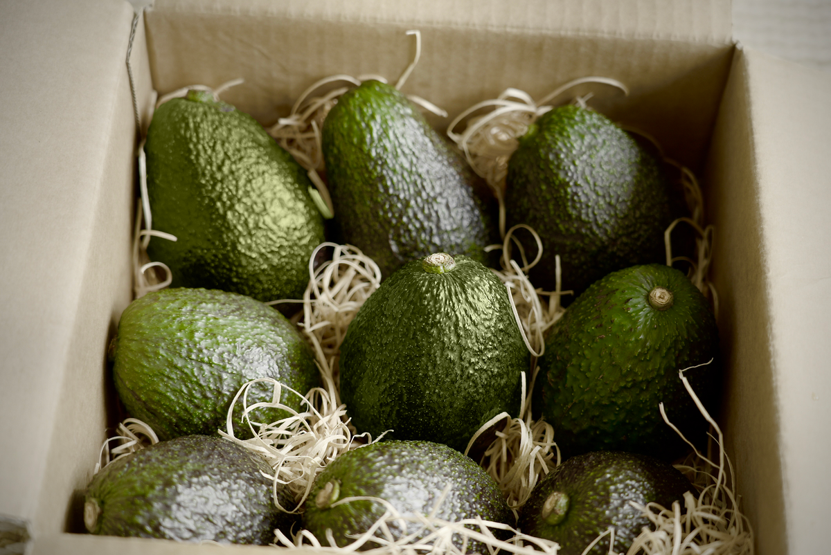 Avocado Box – Totara Road
