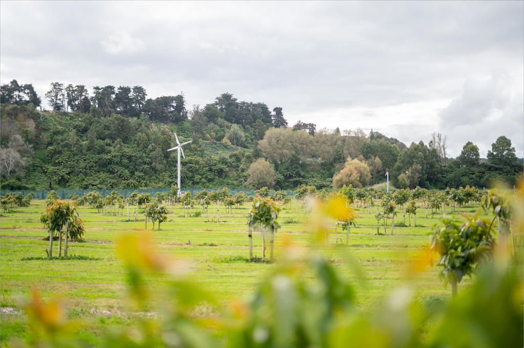NZGAP Certified – Totara Road